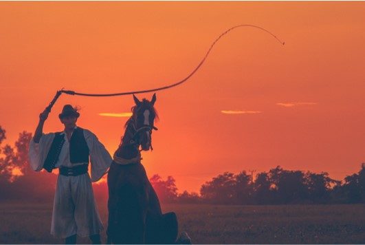 Efecto Látigo en la Supply Chain - The Flow Factory